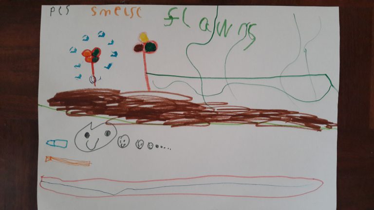 What does Peace look like? - DevelopmentEducation.ie