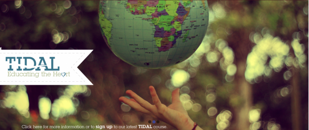 CIC 1 - DevelopmentEducation.ie