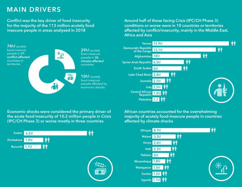 Drivers-of-Hunger-Global-Report-Food-Crisis-2019 - DevelopmentEducation.ie