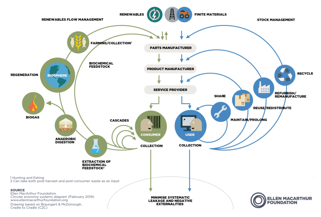 Butterfly-Infographic - DevelopmentEducation.ie
