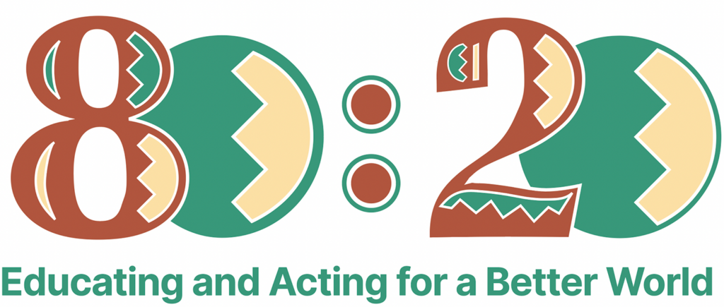 8020-logo-ret - DevelopmentEducation.ie