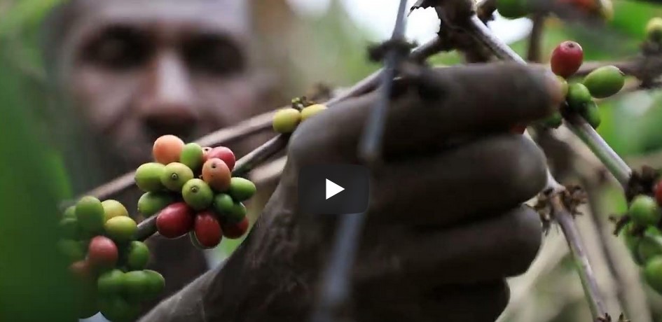 A Fair World for Children - Fairtrade Africa - DevelopmentEducation.ie